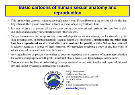 PDF Basic Cartoons Of Human Sexual Anatomy And Cartoons Of Human Sexual Anatomy And