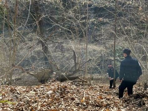 Oase umane descoperite într o pădure din Italia Carabinierii au emis trei ipoteze privind