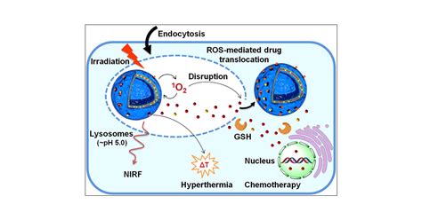 Dually Ph Reduction Responsive Vesicles For Ultrahigh Contrast Fluorescence Imaging And Thermo