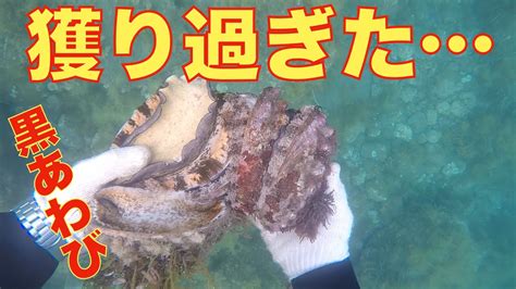 【高級黒アワビ】また獲り過ぎてしまいました・・・ Youtube