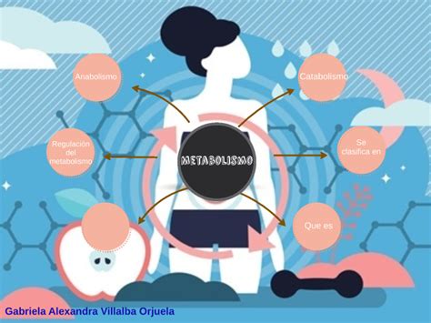Metabolismo Mapa Mental