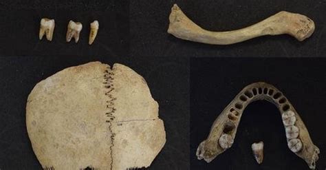 Oldest Human Dna Found In The Uk Reveals Origins Of Early Britons