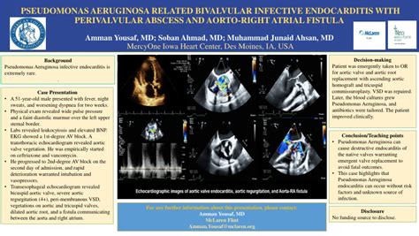 Pdf Pseudomonas Aeruginosa Related Bivalvular Infective Endocarditis