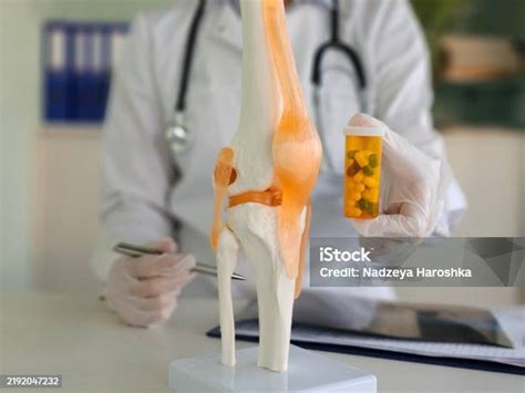 의료 전문가가 모델과 약물로 무릎 관절 해부학을 설명합니다 40 44세에 대한 스톡 사진 및 기타 이미지 40 44세 건강 진단 건강관리와 의술 Istock