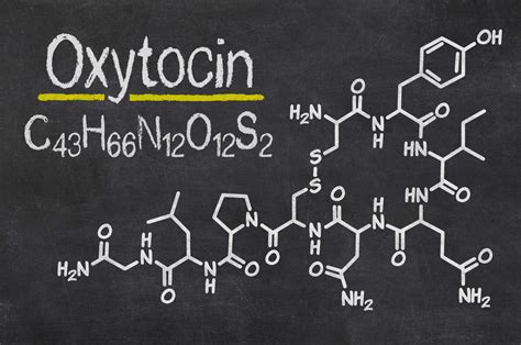 Oxytocin Its Not Just About Sex Dr Jill Carnahan Md