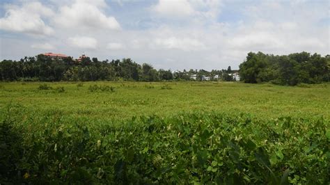 Proposed Kendriya Vidyalaya Project Caught In Red Tape The Hindu