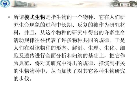 模式植物 拟南芥word文档在线阅读与下载无忧文档