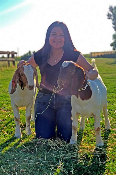 The Big Fresno Fair Blog