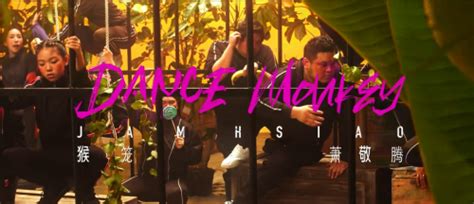 Monkey Dance