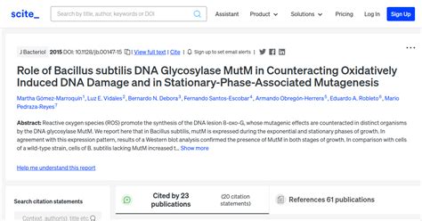 Role Of Bacillus Subtilis Dna Glycosylase Mutm In Counteracting