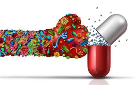 Tìm Hiểu Về Beta Lactam Là Gì Và ứng Dụng Trong điều Trị Bệnh Nhiễm Khuẩn