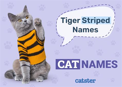 Tiger Cat Names