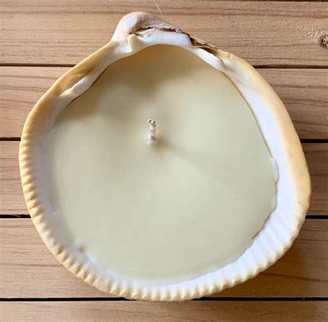 Handmade Seashell Candle Sea Things Ventura