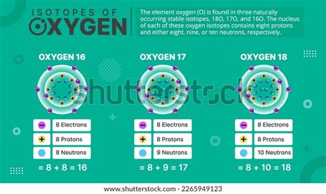 Isotopes Oxygentypes Characteristics Vector Illustration Stock Vector