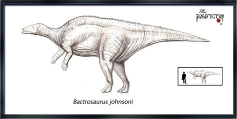 Bactrosaurus Pictures And Facts The Dinosaur Database