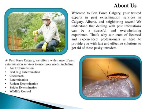 Ppt Pest Control Calgary Pestforceca Powerpoint Presentation Free