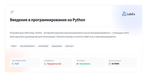 Программирование на Python Руководство для начинающих Labex