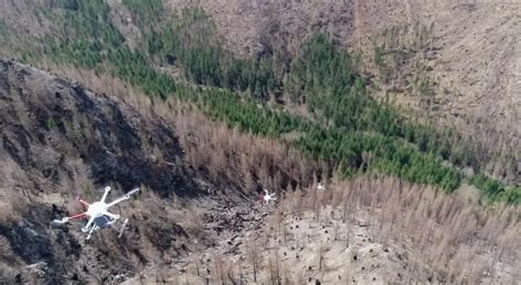 Mast Reforestation Is Using Drones Nurseries And Carbon Offsets To