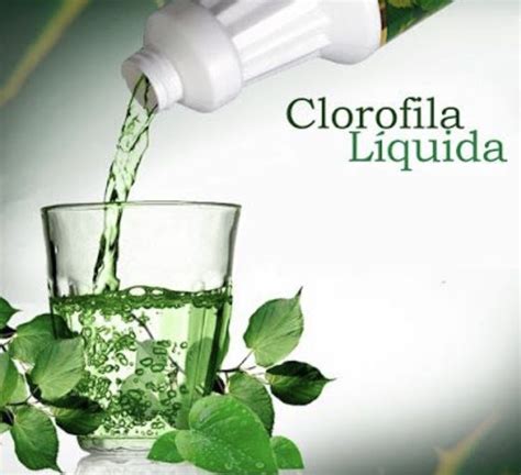 Pin De Nelly En A ⭐️ Clorofila Green Fresh Clorofila Beneficios