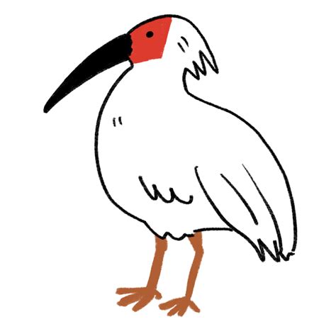 朱鷺トキのイラスト Onwaイラスト