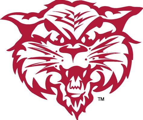 Wildcats Hire Ndscs Alum Eric Issendorf As Head Football Coach Local