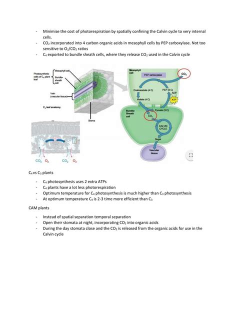 Cells Of Organisms Complete Study Notes Biol1040 Cells To Organisms
