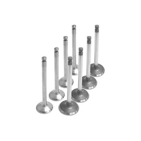 Silver Engine Valve At Best Price In Surat Gujarat Saini Diesal