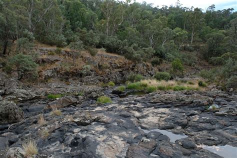 Snowy River National Park