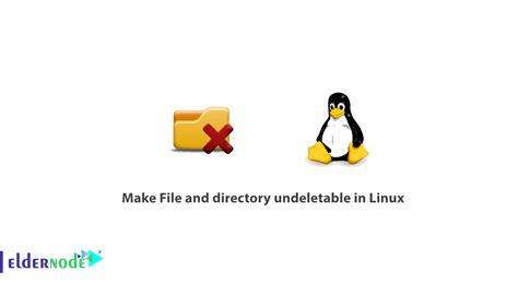 How To Configure Burp Suite On Kali Linux Eldernode Blog
