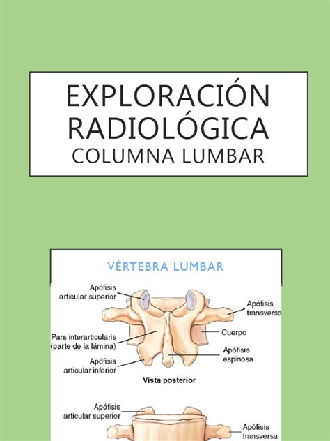 2 Col Lumbar Lumbosacra Pdf La Columna Vertebral Vértebra