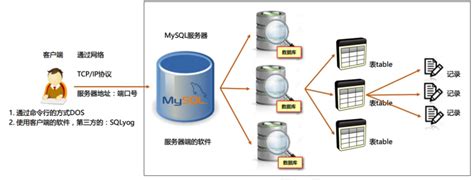 MySQL Knowledge Map