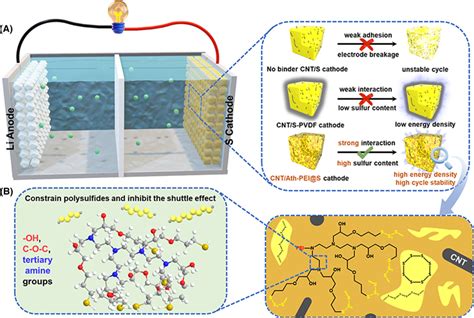 Schematic Illustration Of Cntath‐peis As A Binder‐free Advanced