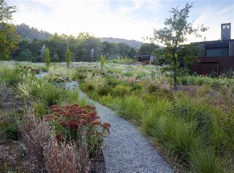 Surfacedesign Inc Natural Landscaping Landscape