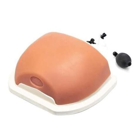 Image Guided Thoracic Spinal Injection Trainer 3b Scientific Image Guided Thoracic Spinal