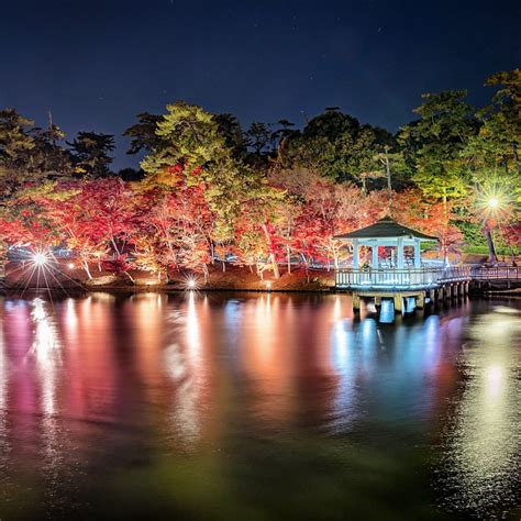 いのたけ 岡崎東公園紅葉🍁ライトアップ。 今年も行ってきました〜🎵 でも、風がビュービューで寒い上にリフレしない😫 寒くて早々に退散💦