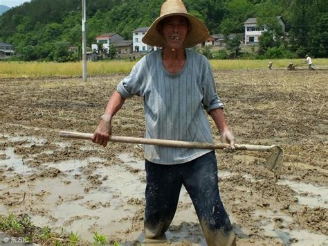 給60歲以上農民每月1000元退休金，讓農民享受經濟發展紅利 每日頭條