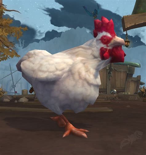 Poulet Le Plus Furieux Pnj World Of Warcraft