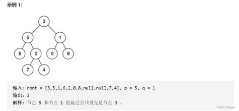 java——二叉树的最近公共祖先及二叉搜索树介绍 二叉树的最近公共祖先 java csdn博客