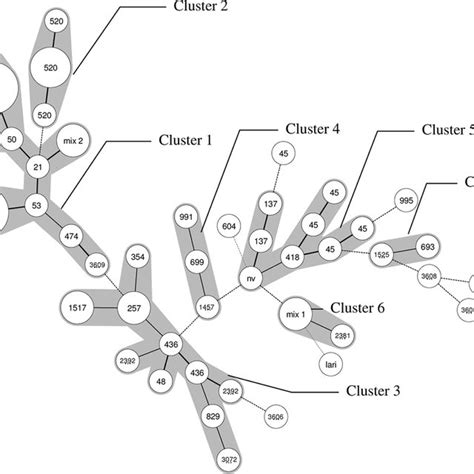 Minimum Spanning Tree Based On 18 P Bit Targets The Tree Was Created Download Scientific