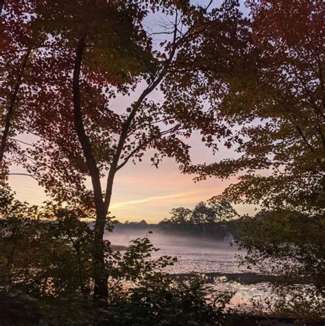 Why Is Vbnetcxaml Vs2019 Is Better Than Vb6 Heres Why