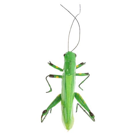 Owady Figurki B Dy Rysunek Fa Szywe Owad W Oficjalne Archiwum Allegro