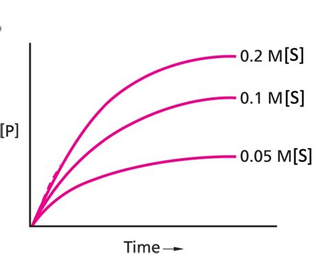 Solved Typical Activity Curves Of Enzymes That Are Analyzed