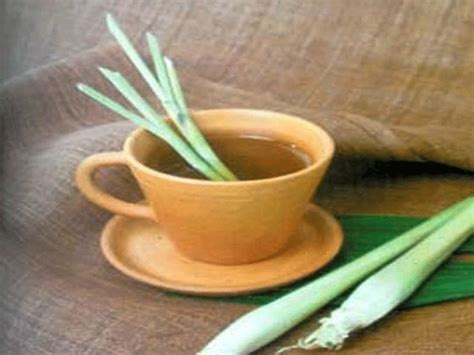 22 Benefits Of Lemongrass And Lemongrass Teaoil For Health And Beauty