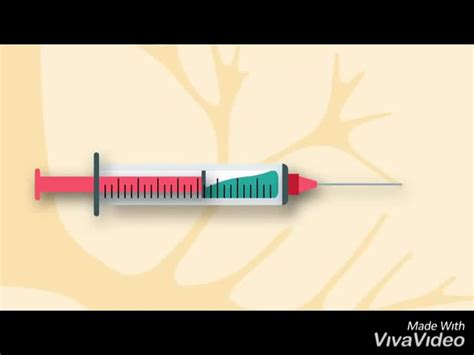 Hossein Ehsanbakhsh On Linkedin A Simple Animation How Mrna Vaccine Works