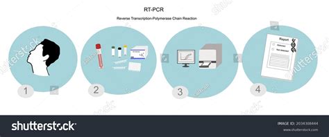 Transcription Qpcr Over 6 Royalty Free Licensable Stock Vectors Vector Art Shutterstock