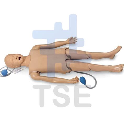 maniquí de entrenamiento vías respiratorias simulador de respiraci