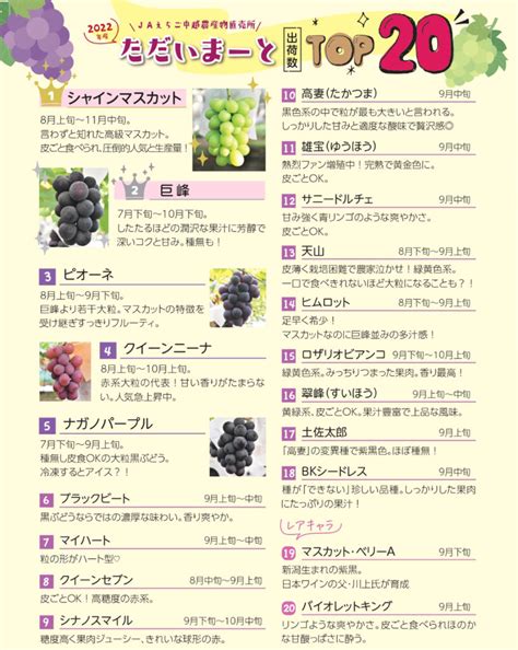 ぎゅっと中越 2023年9月号 Vol08 広報誌 Jaえちご中越