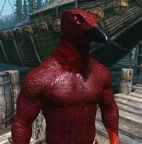 Bird Races Of Skyrim At Skyrim Nexus Mods And Community