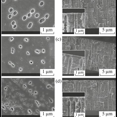Electron Micrographs Magnification 30000 Of The Surface Left And