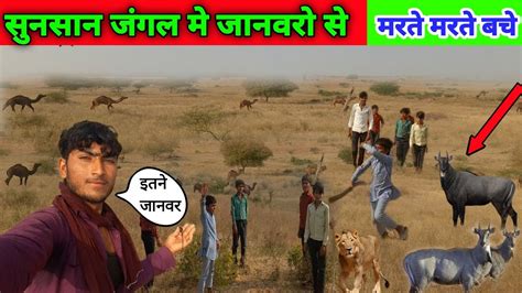 😱 आज तो मरते मरते बचे Jungle 🐪 जानवरो से Viral Trending Vlog Youtube
